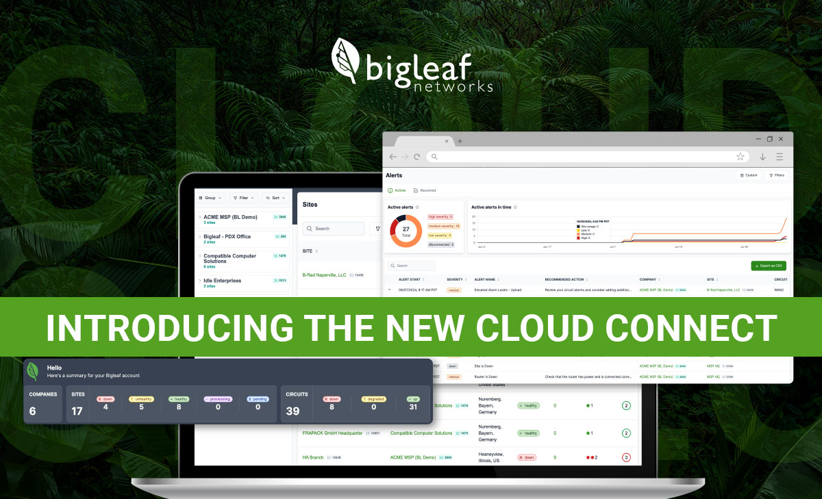 Introducing Bigleaf Cloud Connect: Your New Network Optimization Dashboard