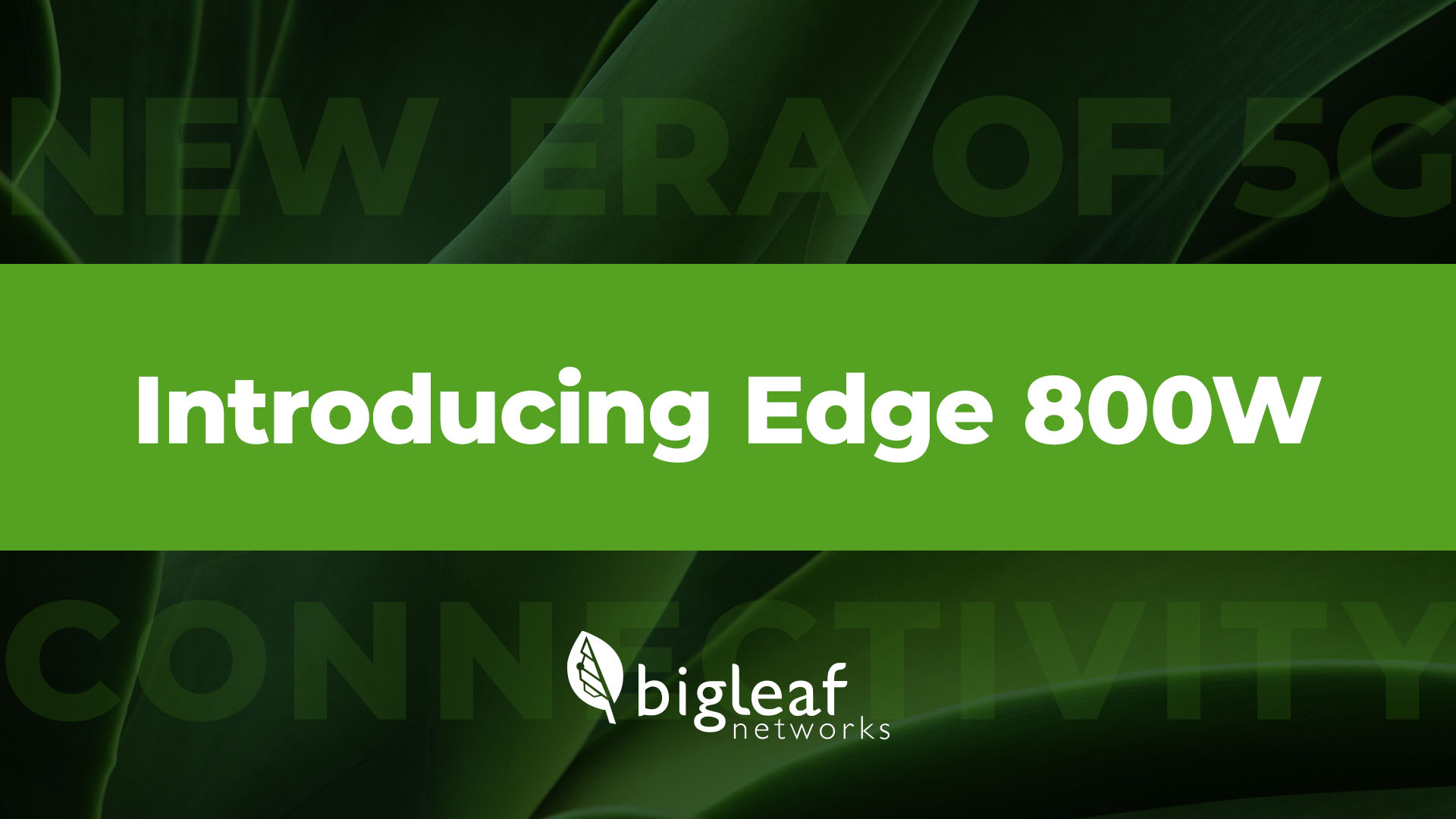 Bigleaf Edge 800W Router Benefits for Businesses